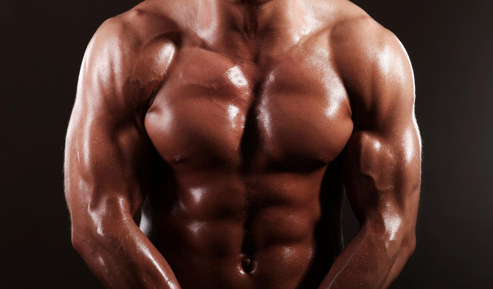 Muscle Building Laws [infographic] — MO Marketplace