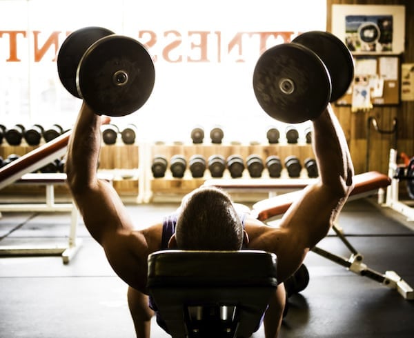 Are Isolation Exercises Worthless? — MO Marketplace