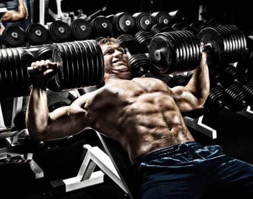 25 Ways to Get Hench - Increase Muscle Mass with These Tips — MO ...