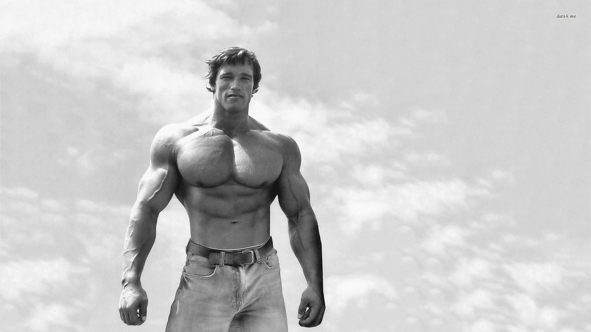 Build Muscle Like Arnold Schwarzenegger — MO Marketplace