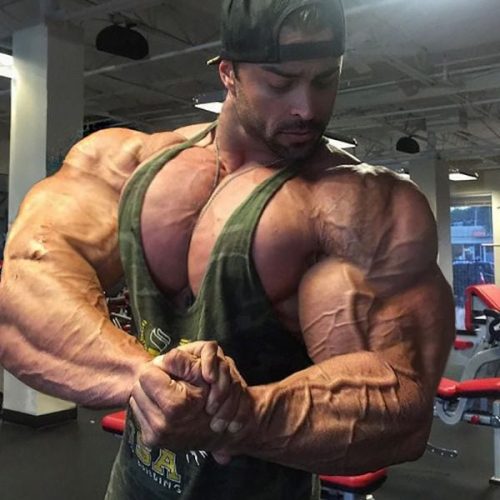 What kind of lifter are you? Jacked, Swole, or Yoked? — MO Marketplace