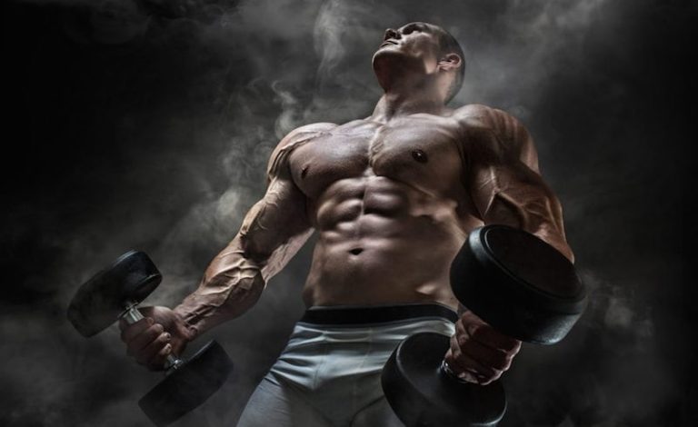 What are the Best Steroids to Get Ripped? — MO Marketplace