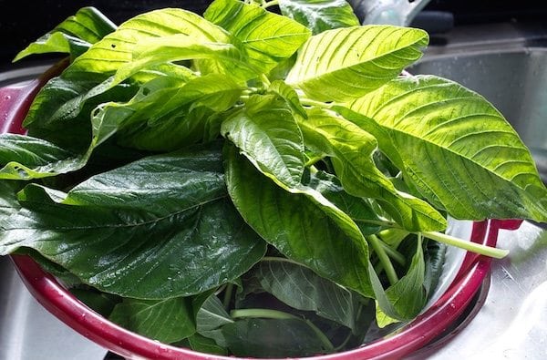 Natural Steroids: 20 Anabolic Foods for Muscle & Strength Gains — MO ...