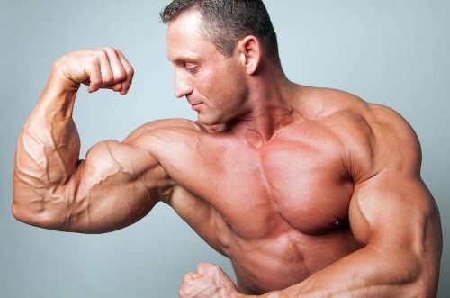 Does Flexing Build Muscle? Benefits of Flexing — MO Marketplace